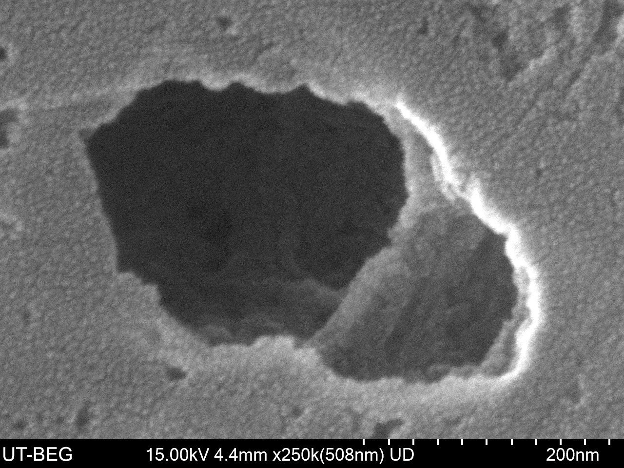Hitachi SU-8700 FEG-SEM | Bureau of Economic Geology