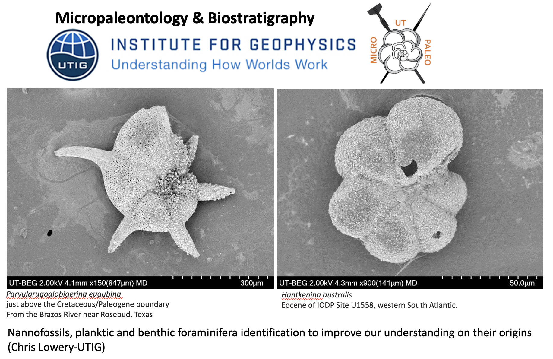 Scanning Electron Microscope (SEM) Laboratory | Bureau of Economic Geology