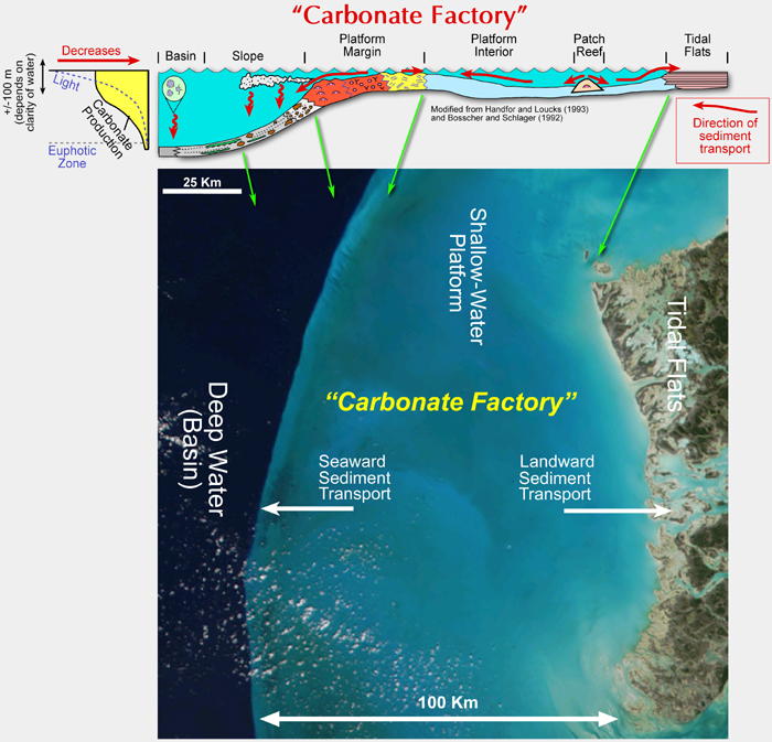 Introduction to Carbonate Facies, Depositional Environments, and ...