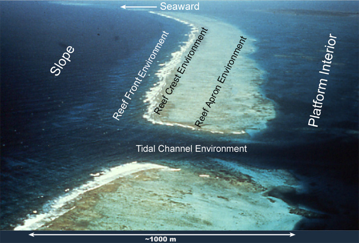 Introduction to Carbonate Facies, Depositional Environments, and ...