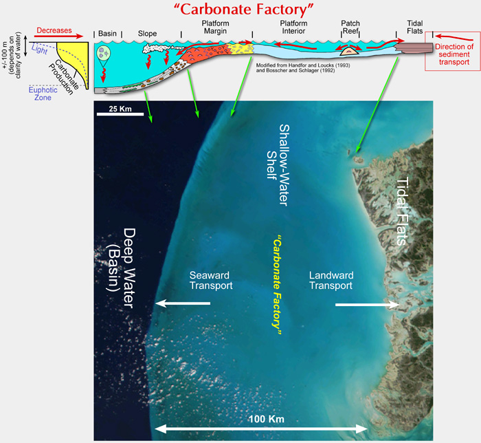 Introduction to Carbonate Facies, Depositional Environments, and ...