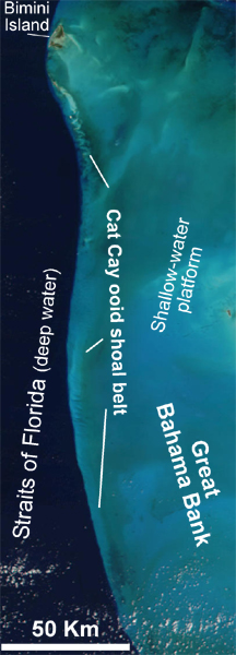 Western Side of Great Bahama Bank
