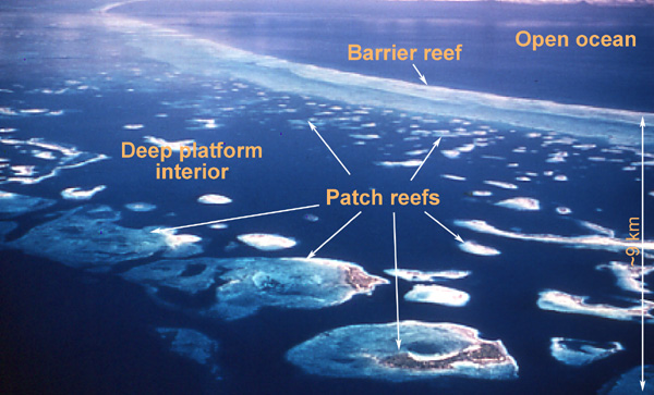 Patch reefs