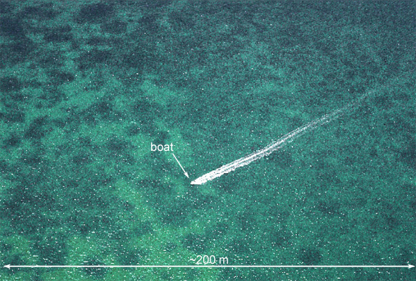 Platform-Interior Muddy Subtidal Sediments