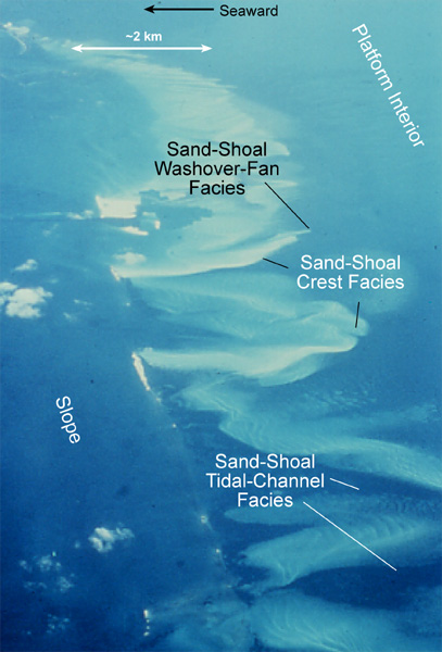 Sand shoal crest facies