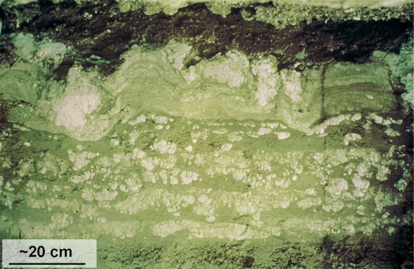 Trench in the Trucial coast tidal flat