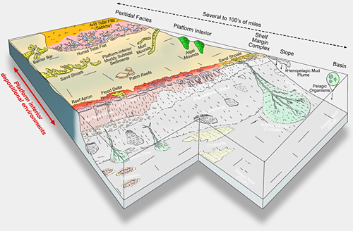 Platform-Interior Carbonate Depositional Environments