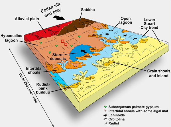 Platform-Interior Carbonate Depositional Environments