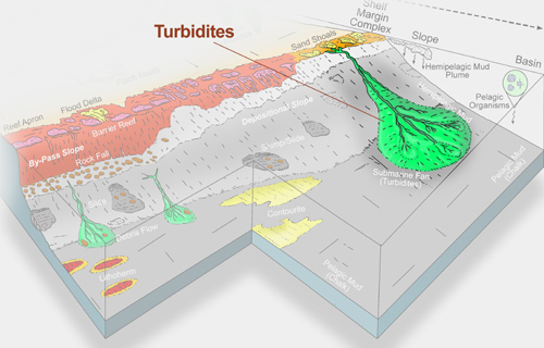 Turbidity Current Diagram