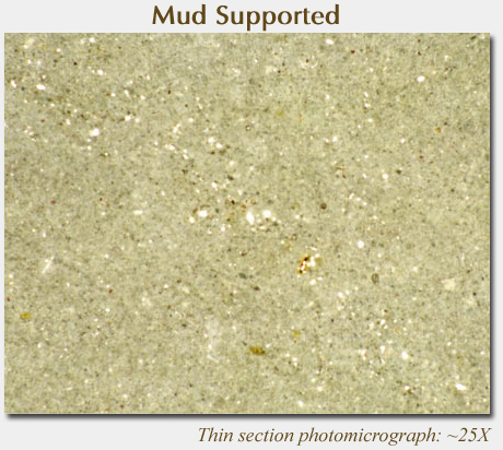 Carbonate Sequence Stratigraphy and Field Examples:
